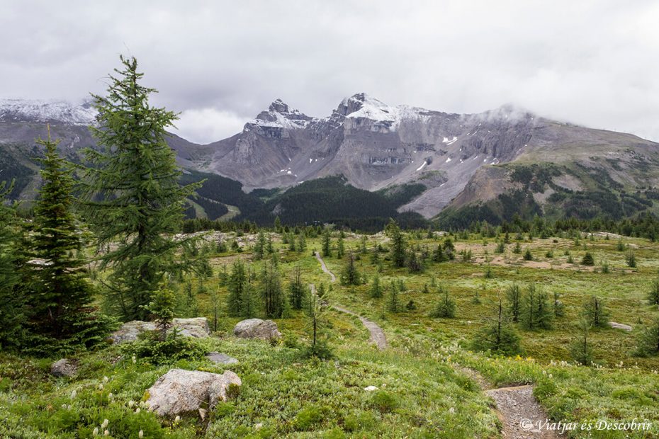 Las Montañas Rocosas de Canadá: 30 vistas y actividades imperdibles ...