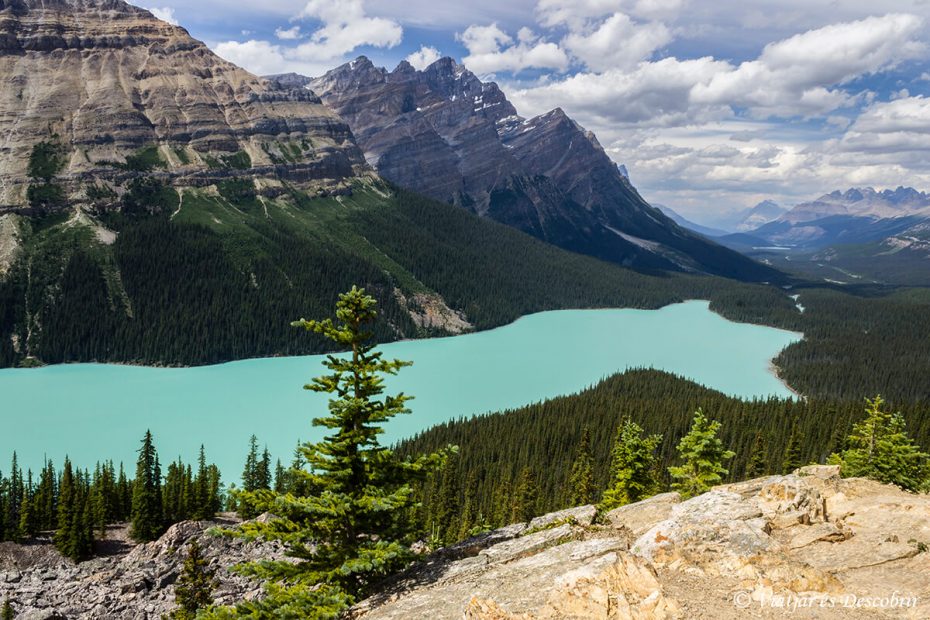 Las Montañas Rocosas de Canadá: 30 vistas y actividades imperdibles ...