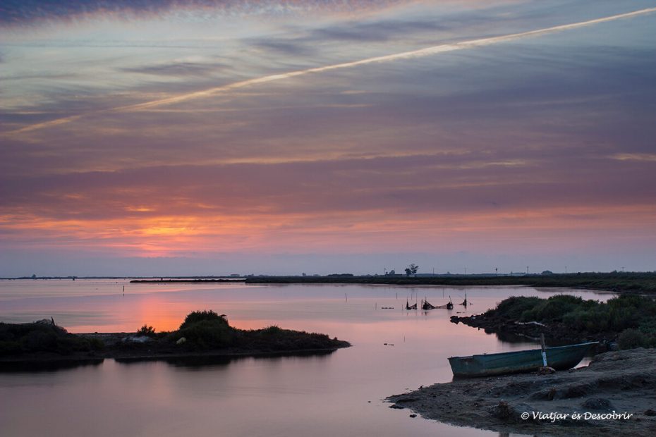 7 Rincones que visitar en el Delta del Ebro - Viajar es Descubrir