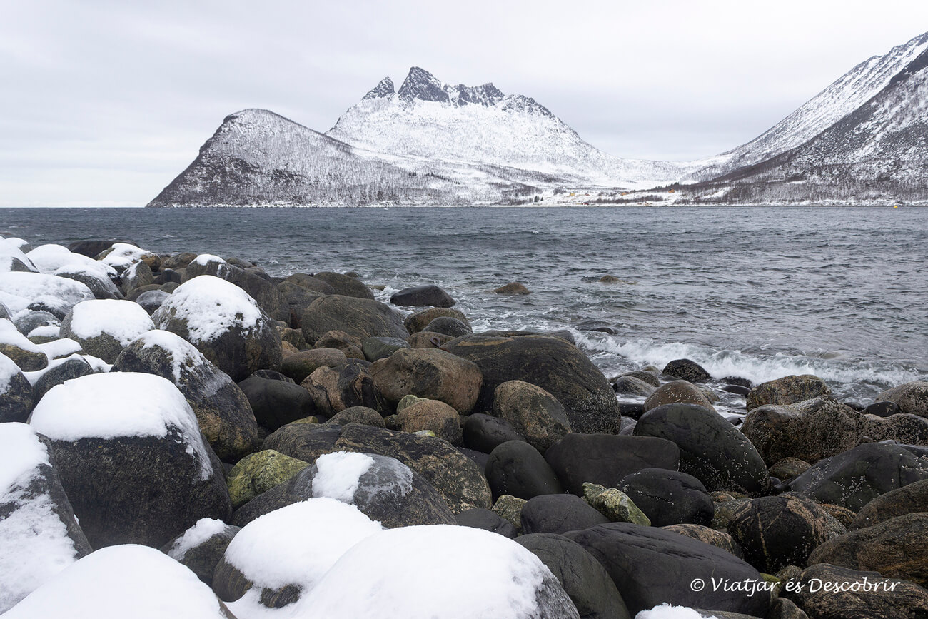 Guía de la Isla de Senja: qué ver, ruta y auroras boreales