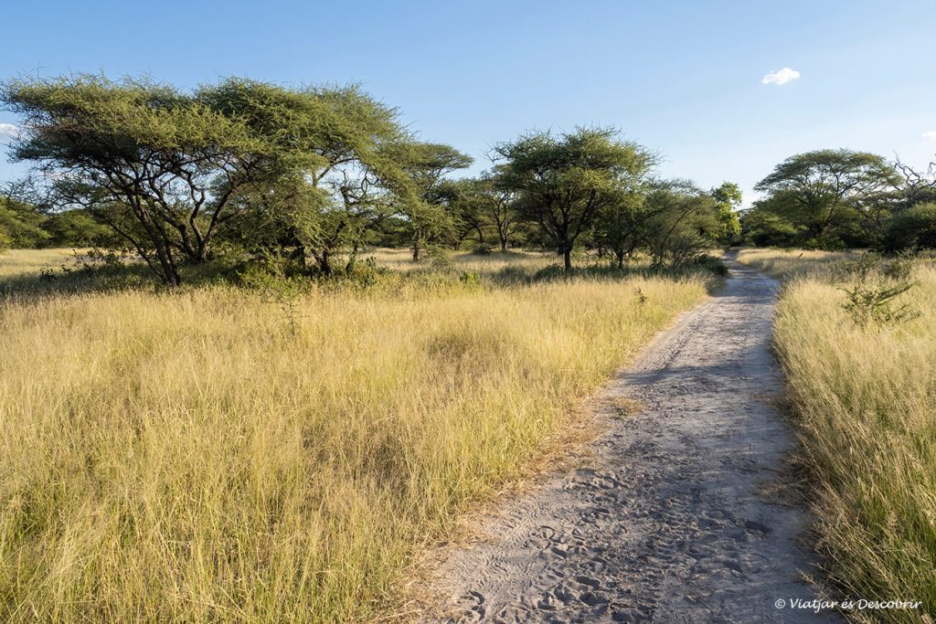 Maun (Botsuana): 8 cosas que hacer en la capital del Okavango