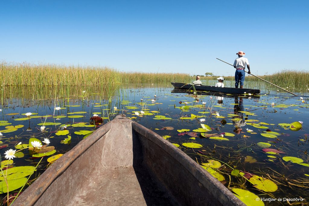 Maun (Botsuana): 8 cosas que hacer en la capital del Okavango