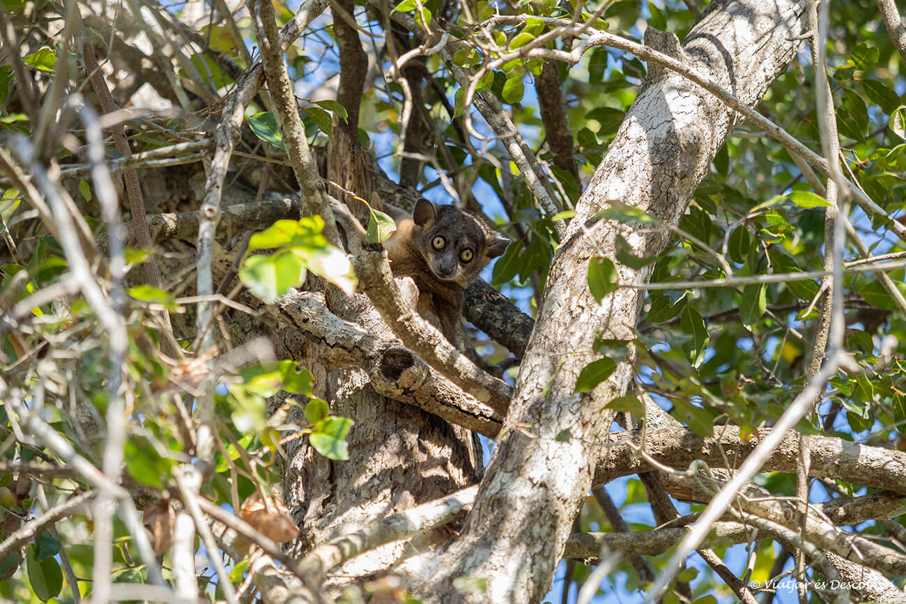 Viaje a Madagascar por libre en 28 días
