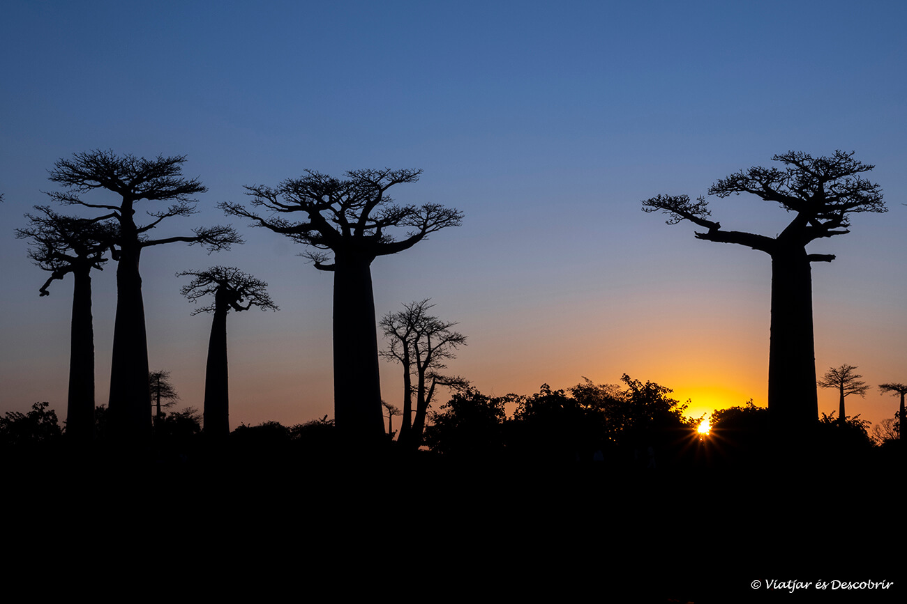 Viaje a Madagascar por libre en 28 días