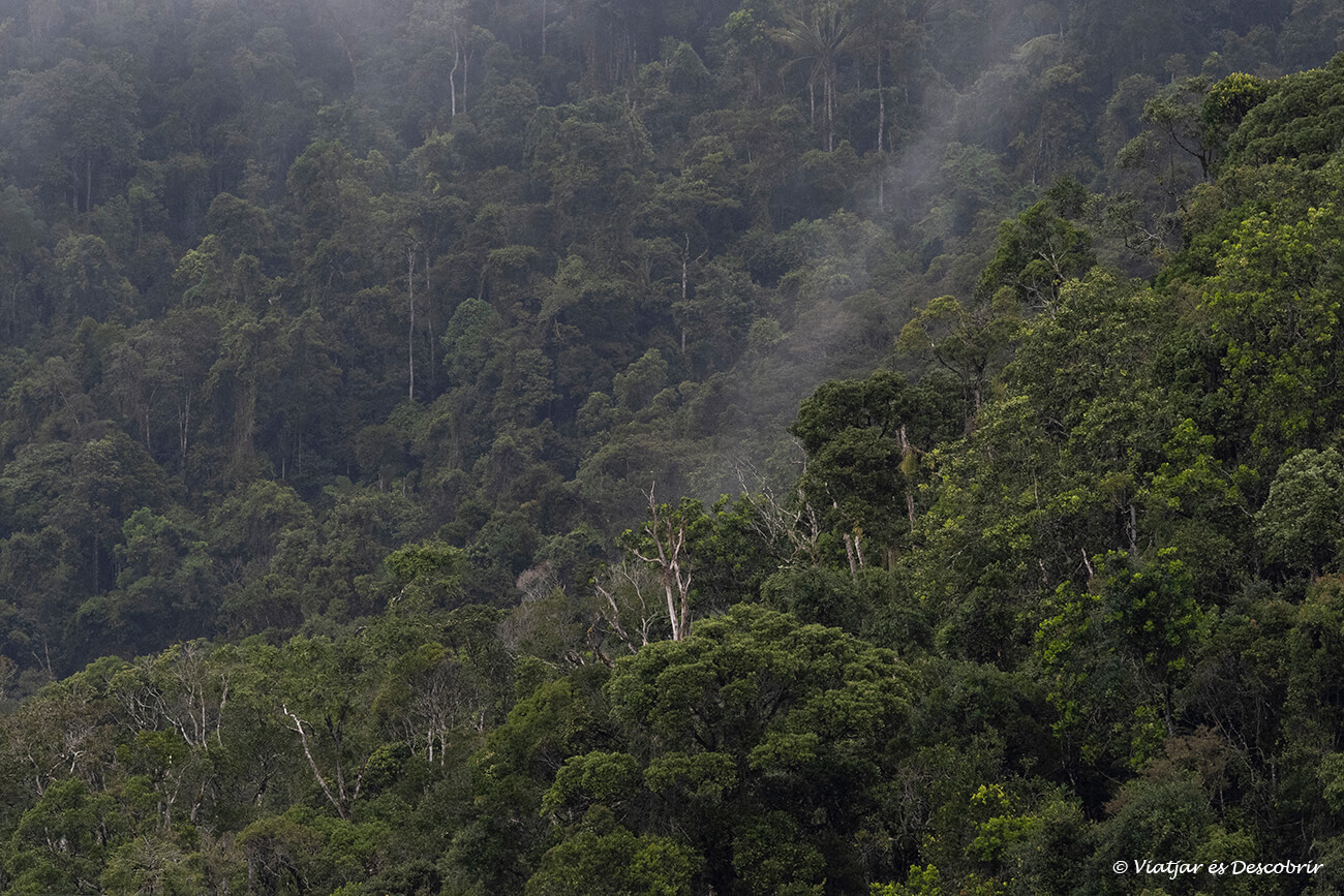 Viaje a Madagascar por libre en 28 días