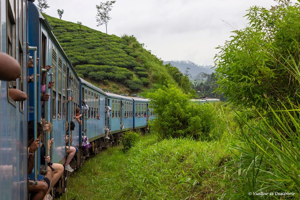 Tren En Sri Lanka Ruta De Kandy A Nuwara Eliya Y Ella Viajar Es Tren En Sri Lanka Ruta De Kandy A Nuwara Eliya Y Ella Viajar Es