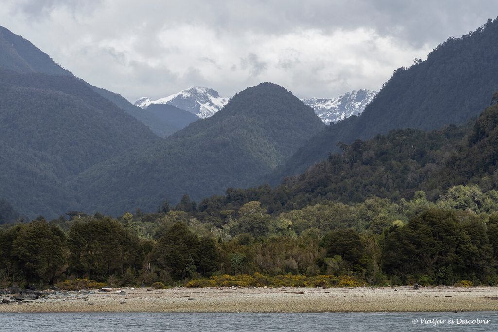 5 Senderos en el Parque Nacional Pumalín - Viajar es Descubrir