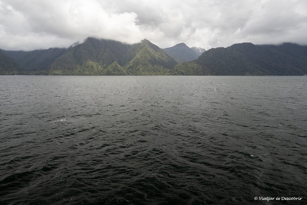 5 Senderos en el Parque Nacional Pumalín - Viajar es Descubrir