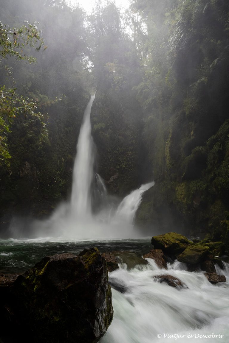 5 Senderos en el Parque Nacional Pumalín - Viajar es Descubrir