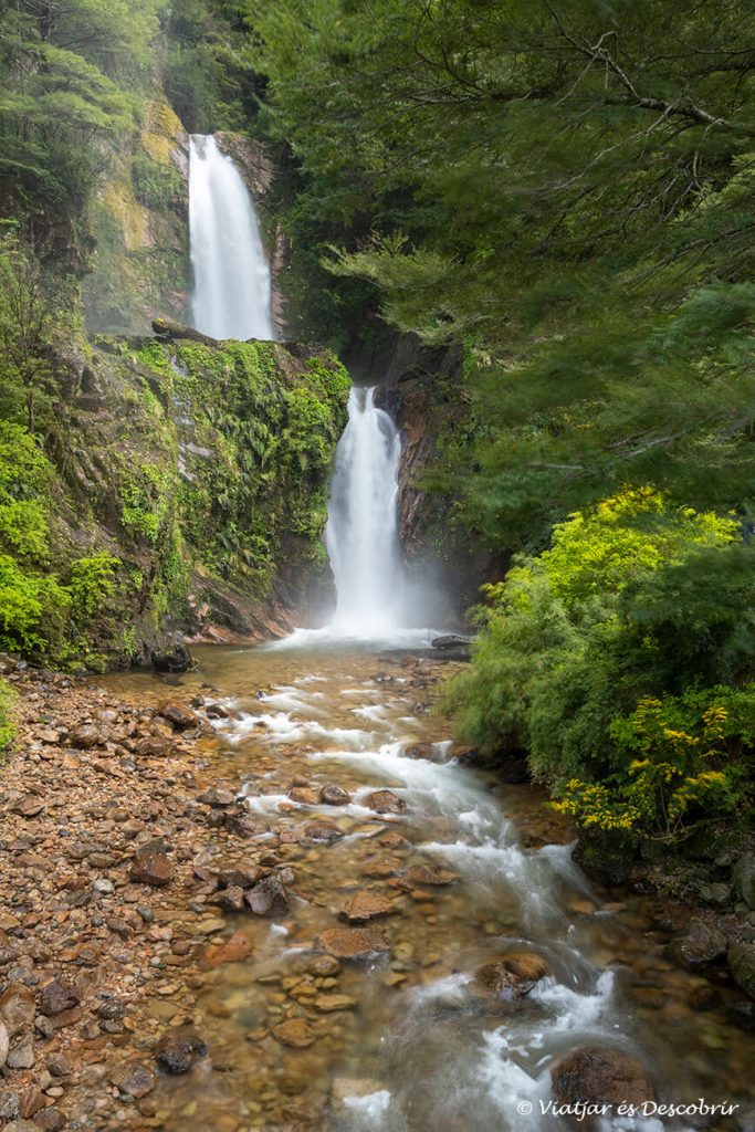 Ruta por Carretera Austral en 20 días (Itinerario y Preparativos)