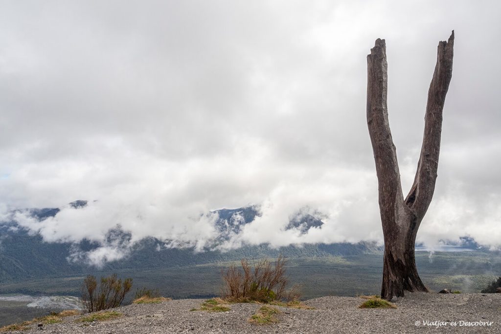 5 Senderos en el Parque Nacional Pumalín - Viajar es Descubrir