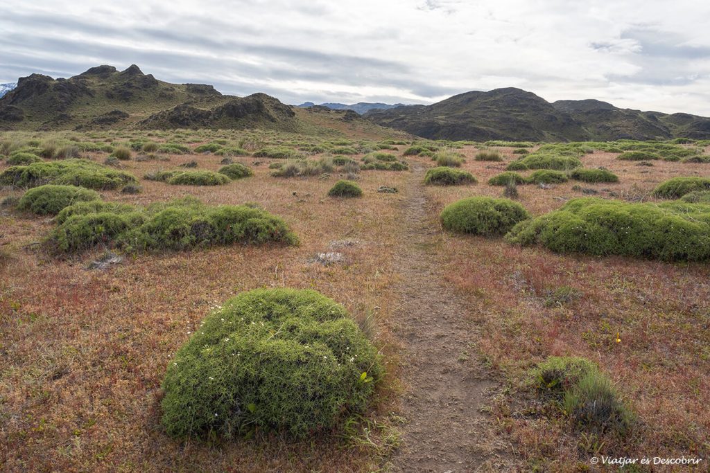 Visitar el Valle de Chacabuco (Parque Nacional Patagonia) - Viajar es ...