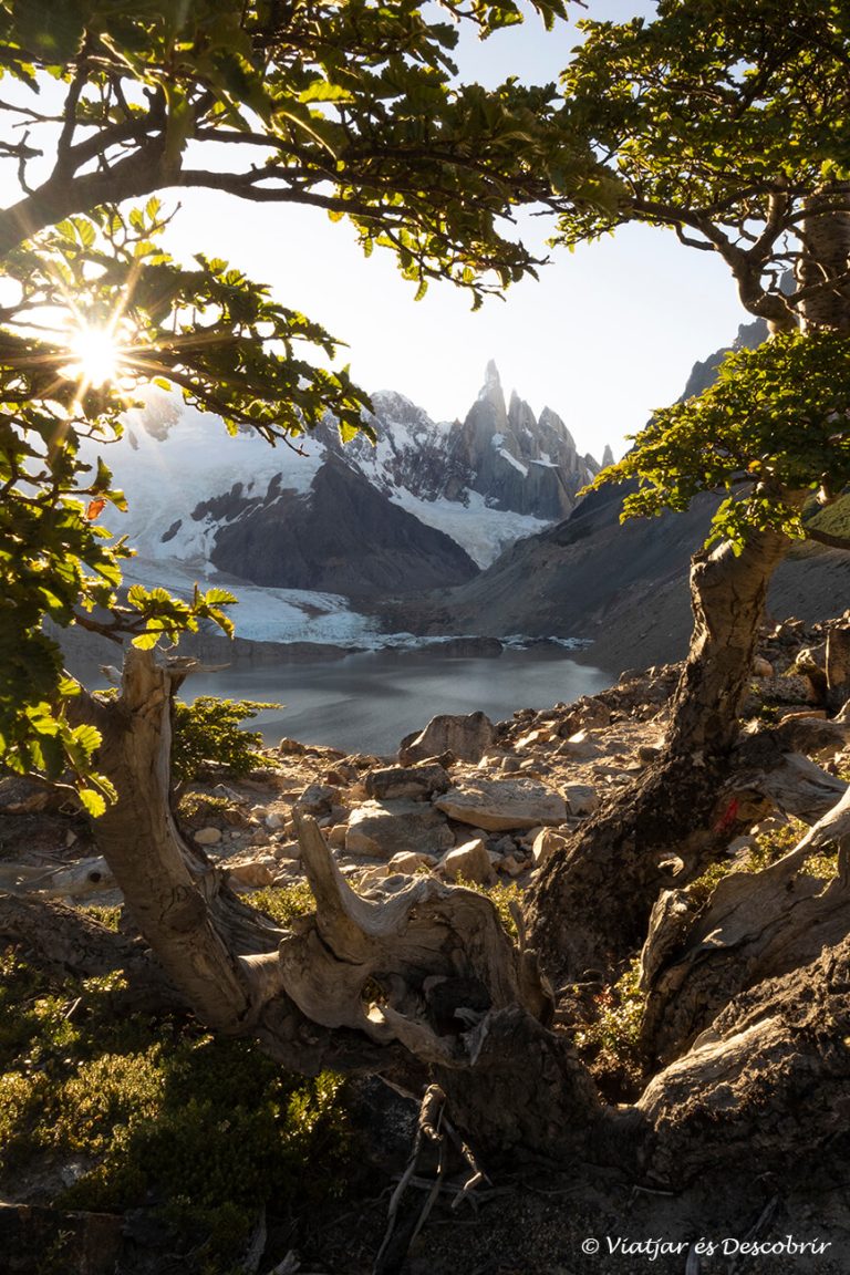 Viaje a la Patagonia en 20 días. Itinerario y Preparación del viaje