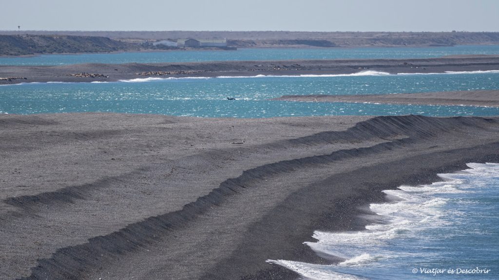 Qué visitar en Península Valdés (Argentina) - Viajar es Descubrir