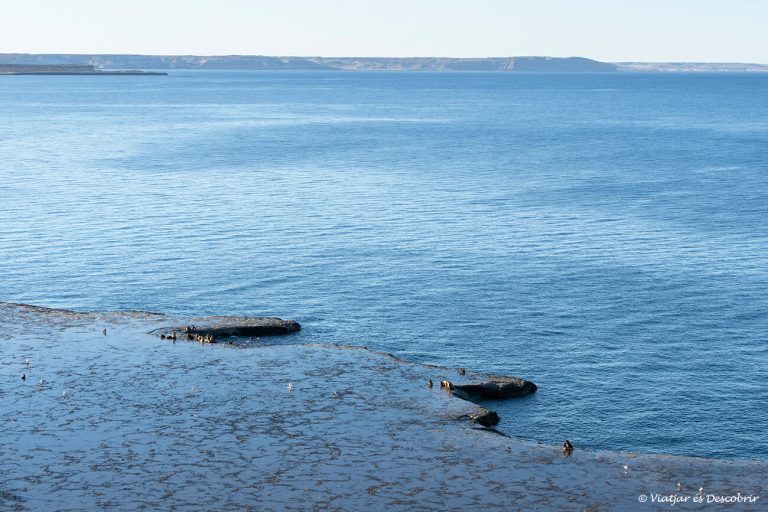 Qué visitar en Península Valdés (Argentina) - Viajar es Descubrir