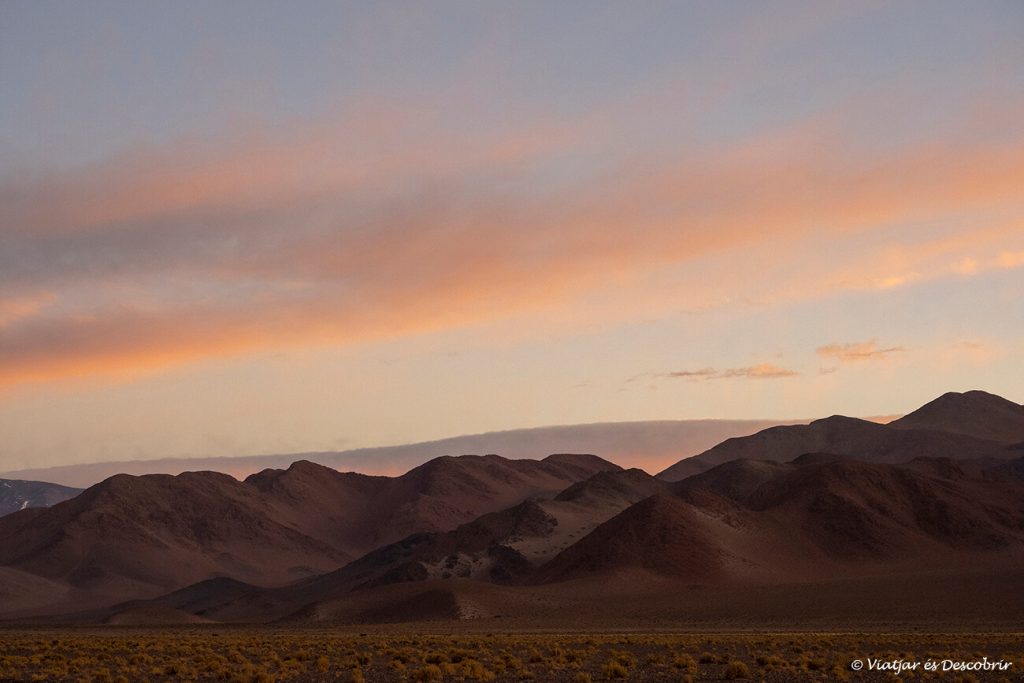 Qué hacer en Fiambalá (Catamarca): 9 experiencias únicas - Viajar es ...