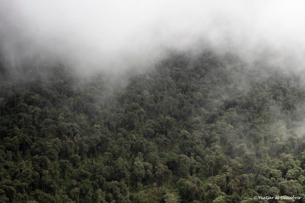 Trekking Salkantay por libre y sin acampar - Viajar es Descubrir